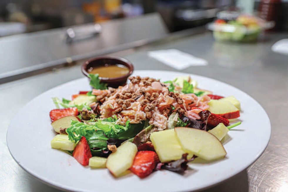 Red Elephant Pizza & Grill | Order Online in Tallahassee and Dothan